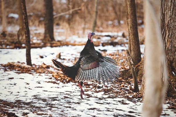 STAGE NATURE CENTER - Updated March 2026 - 87 Photos & 17 Reviews ...