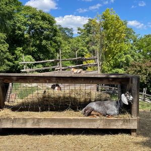 RIVERDALE FARM - 150 Photos & 43 Reviews - 201 Winchester Street ...