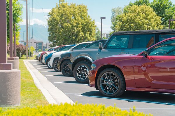 TONY DIVINO - Updated December 2025 - Request a Quote - 11 Photos ...