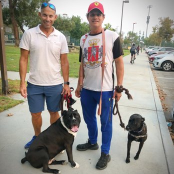 DAVID UTTER DOG TRAINING & BEHAVIOR MODIFICATION - Updated January 2026 ...