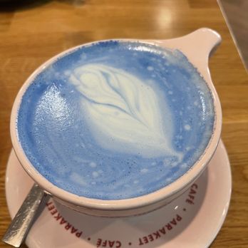 PARAKEET CAFÉ - Updated July 2024 - 1407 Photos & 720 Reviews - 1680 ...