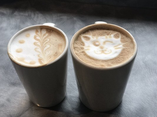 CADENCE COFFEE - 33 Photos & 62 Reviews - 6407 Bowness Rd NW, Calgary ...