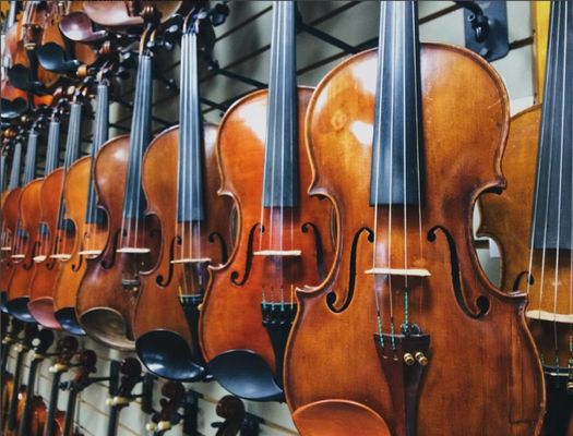 BOB MURPHY’S VIOLIN SHOP - Updated August 2025 - 447 Walt Whitman Rd ...