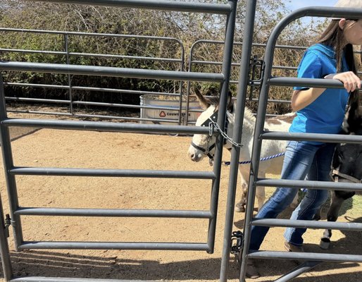 TRAK - THERAPEUTIC RANCH FOR ANIMALS AND KIDS - Updated October 2025 ...