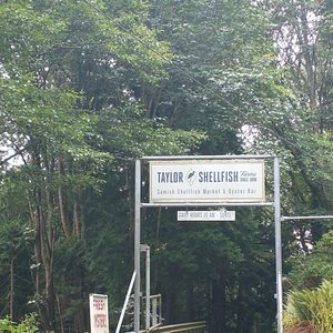 TAYLOR SHELLFISH FARMS - 1210 Photos & 331 Reviews - 2182 Chuckanut Dr ...