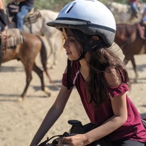 SUNSET RANCH HOLLYWOOD STABLES - Updated May 2024 - 1086 Photos & 833 ...