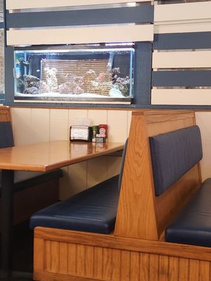 SHELLS SEAFOOD - TAMPA - Updated December 2025 - 723 Photos & 657 ...