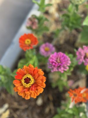 SACRAMENTO PUBLIC LIBRARY - NORTH NATOMAS - Updated August 2025 - 64 ...