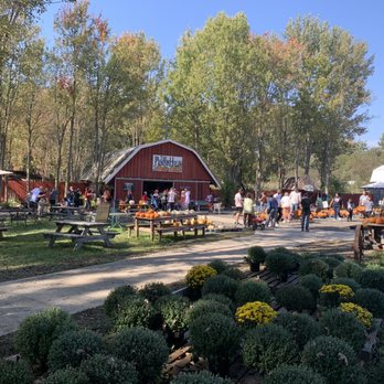 THE PUMPKIN HOLLOW - Updated October 2025 - 30 Photos - 3735 W Seneca ...