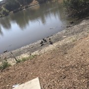 SANDY WOOL LAKE - 72 Photos & 16 Reviews - Lakes - 3248 Levin Park ...