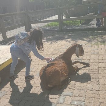 BATON ROUGE ZOO - Updated November 2025 - 412 Photos & 64 Reviews ...