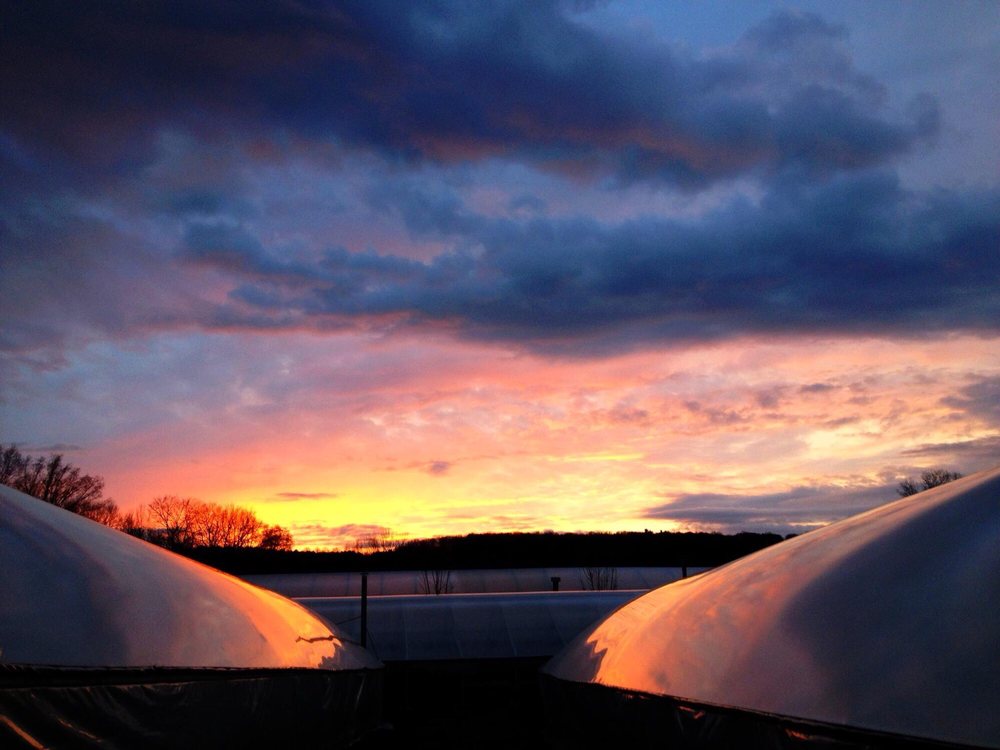 EARLY BIRD FARM - Updated August 2025 - 49 Photos - 1100 Elmira Rd ...