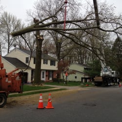 STROBERT TREE SERVICES - 25 Photos & 27 Reviews - Tree Services - 1806 Zebley Rd, Wilmington, DE ...