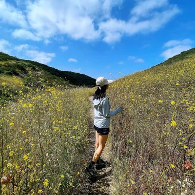 PACIFIC RIDGE TRAILHEAD - Updated October 2025 - 126 Photos & 40 ...