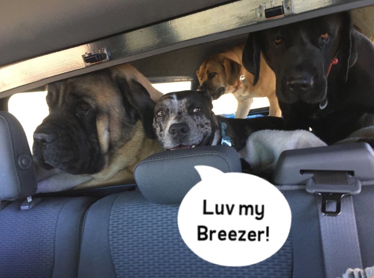 BREEZER WINDOWS - Updated December 2025 - Lincoln, California - Auto ...