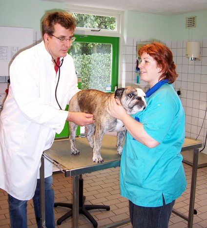 DIERENKLINIEK DEN BESTERD - Updated May 2026 - Koestraat 78, Tilburg ...