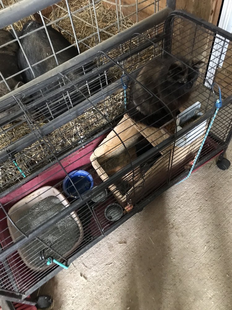 BUSY BARNS ADVENTURE FARM - Updated October 2025 - 19 Photos & 14 ...