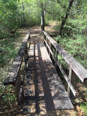 Desoto National Forest - Tuxachanie Trail POW Camp - 40 Photos - Hiking ...