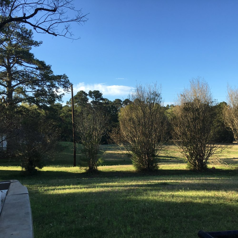 TREES OF TEXAS - Huntington, Texas - Tree Services - Phone Number - Yelp