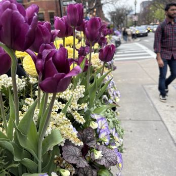 EVA BOSTON - Updated June 2025 - 298 Photos & 172 Reviews - 279A ...