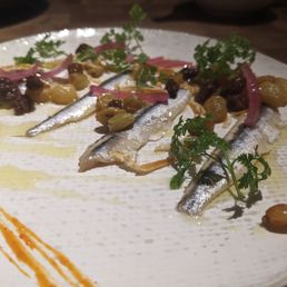 IDOL WOLF - Updated January 2026 - 616 Photos & 196 Verified Reviews ...