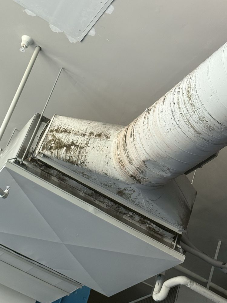 UFC GYM MIDTOWN - Updated January 2026 - 40 Photos & 54 Reviews - 3635 ...