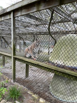 POPCORN PARK ZOO - Updated December 2025 - 257 Photos & 150 Reviews ...