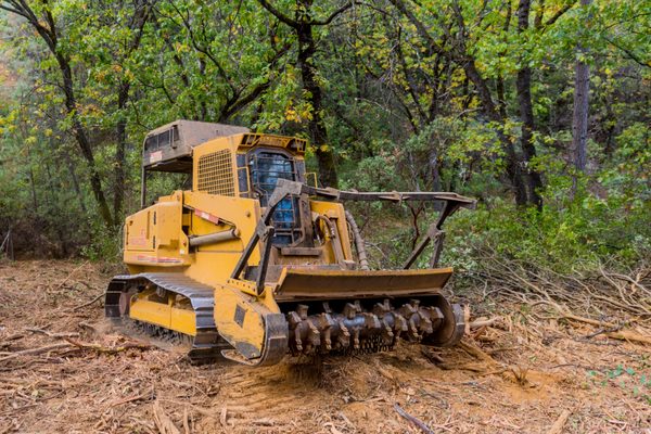 TERRA BRUSH REMOVAL AND LAND CLEARING SERVICES - Updated August 2025 ...