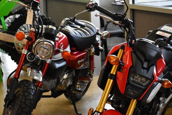 CASEY CYCLE CITY - Updated November 2025 - 22 Reviews & 54 Photos - 634 ...