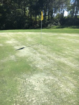 CHALLENGE GOLF CLUB - Updated March 2025 - 14 Photos - 1179 Challenge ...