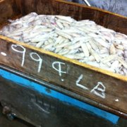 J DELUCA FISH COMPANY - 39 Photos & 11 Reviews - Seafood Markets - 2194 ...