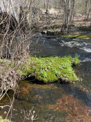 BEN UTTER TRAIL - Updated August 2025 - 89 Photos & 15 Reviews - Exeter ...