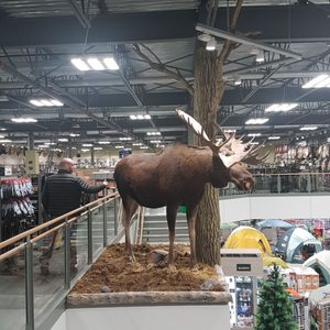 SAIL - Updated September 2025 - 43 Photos - 2850 Avenue Jacques-Bureau ...