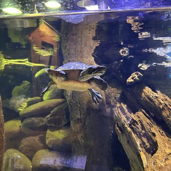 ARIZONA BOARDWALK - Updated June 2024 - 114 Photos & 26 Reviews - 9500 ...