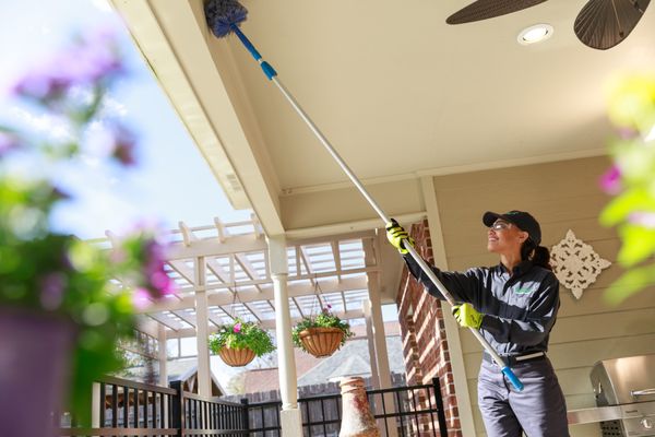 WESTERN EXTERMINATOR COMPANY - Updated August 2025 - 33 Photos & 80 ...