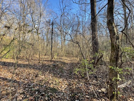 WELDON SPRING CONSERVATION AREA - Updated December 2025 - 59 Photos ...