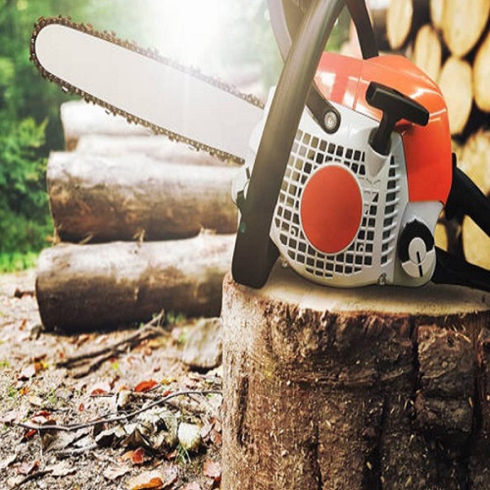 COASTAL CROWN TREE SERVICES - Updated January 2025 - Bonita Springs ...