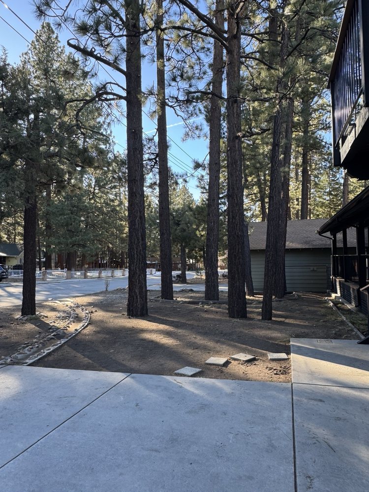 HVA TREE CARE - Updated October 2025 - 53 Photos & 10 Reviews - Colton ...