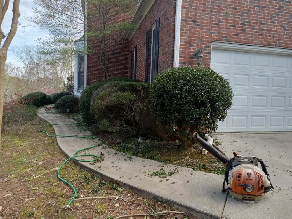 IMMACULATE MAINTENANCE AND LANDSCAPING - Updated August 2025 - Request ...