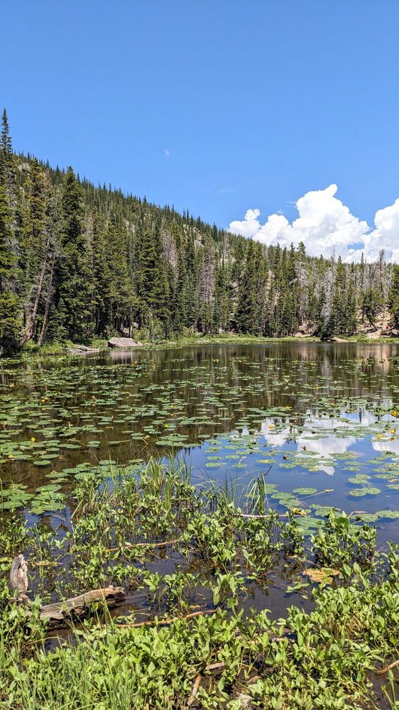 NYMPH LAKE - Updated September 2025 - 78 Photos & 10 Reviews - Bear ...