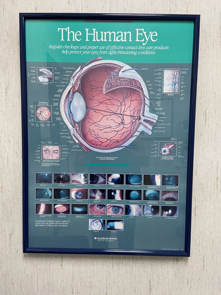 MIAMI LAKES EYE CARE CENTER - Updated May 2024 - 12 Reviews - 15600 NW ...