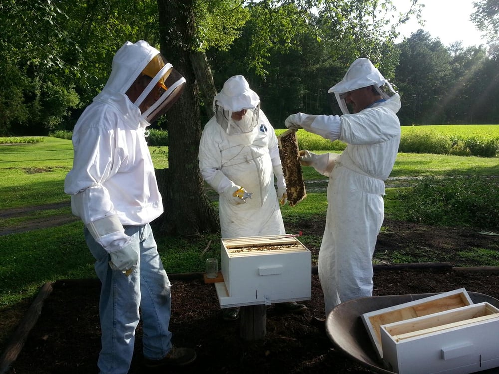 ELM COTTAGE APIARIES - Updated December 2025 - 1853 US 258 N, Como ...