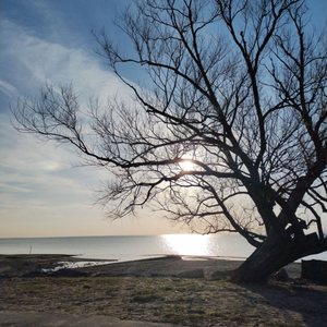 BENNETT BEACH - Updated July 2024 - 26 Photos & 16 Reviews - 8276 Lake ...