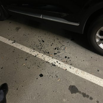 THE PALMS AT MORADA - Updated January 2026 - 59 Photos & 52 Reviews ...