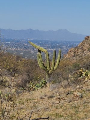 DOUGLAS SPRINGS TRAILHEAD - SAGUARO NATIONAL PARK - Updated February ...