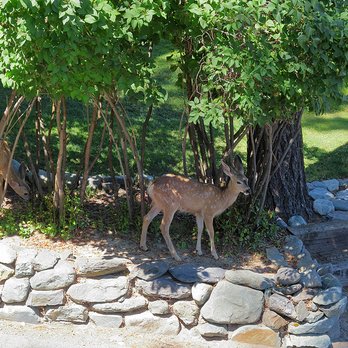 GRAEAGLE MEADOWS GOLF COURSE - Updated October 2025 - 33 Photos & 27 ...