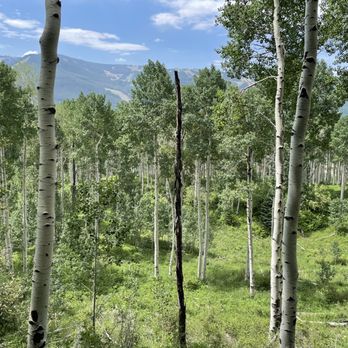 VAIL STABLES - Updated July 2024 - 198 Photos & 133 Reviews - 915A ...