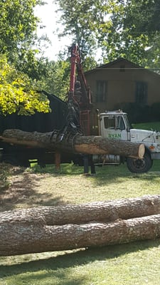 RYAN TREE SERVICE - Updated October 2025 - 11 Photos & 26 Reviews ...