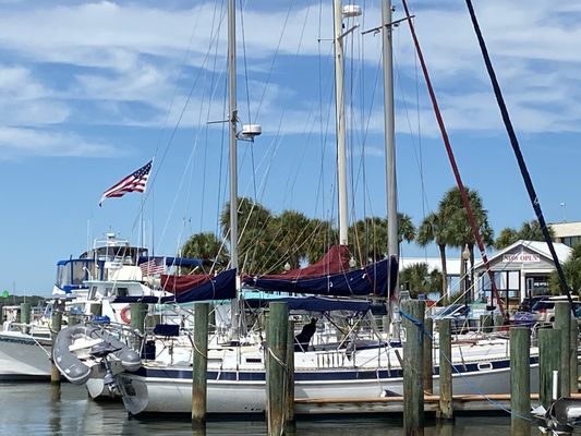 DUNEDIN MARINA - Updated September 2024 - 50 Photos & 10 Reviews - 158 ...