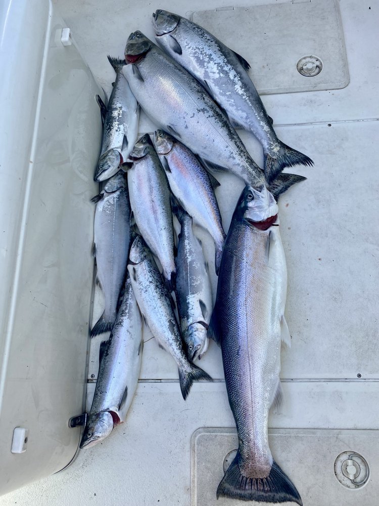 MAVERICK CHARTER FISHING - 1400 Lake St, Two Rivers, Wisconsin ...